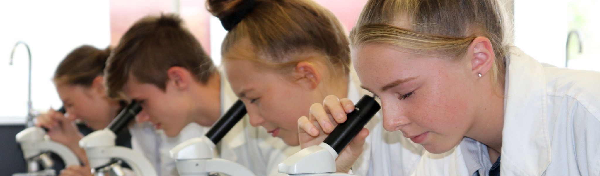 Nerang State High School